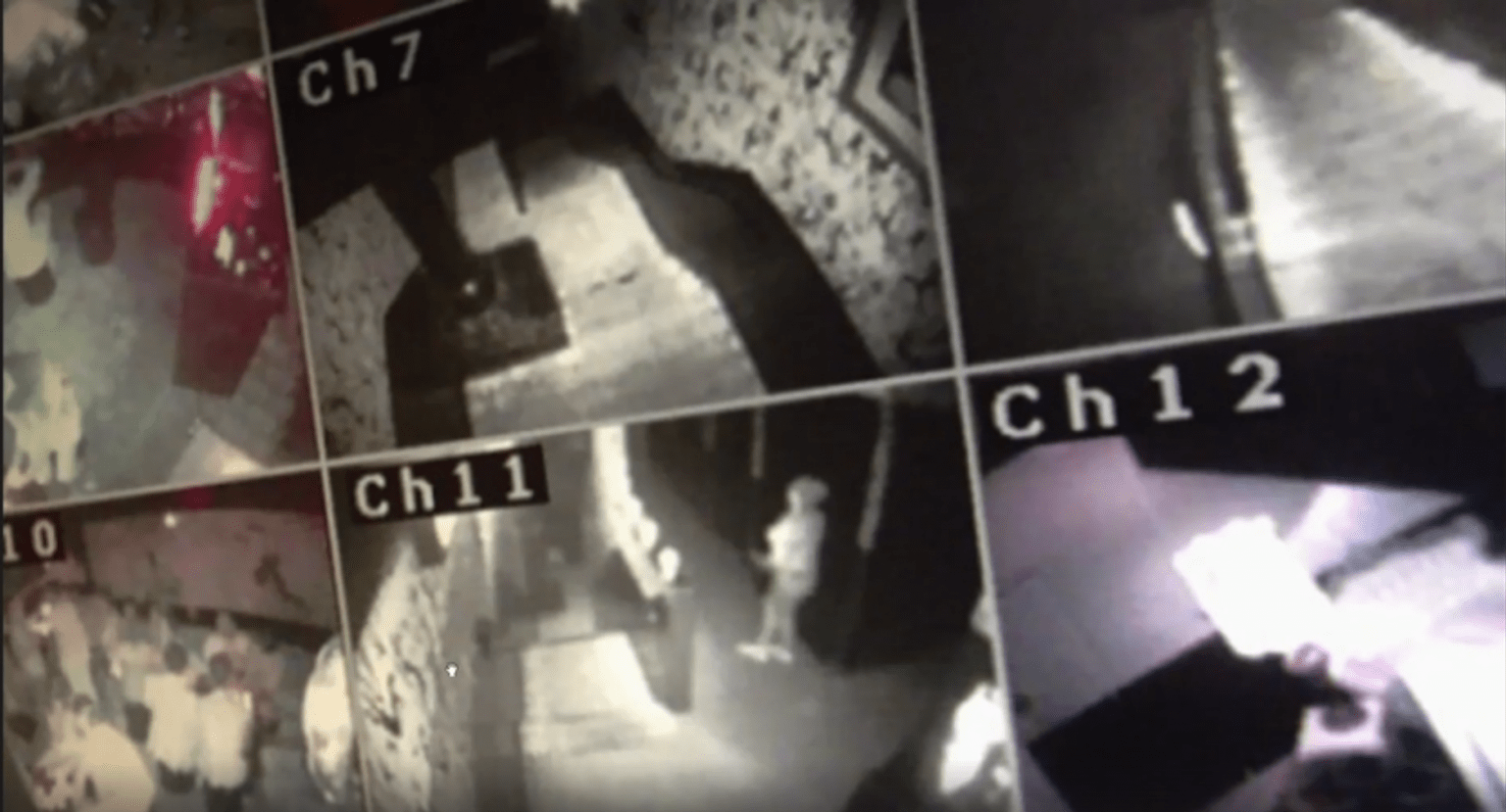 Epstein CCTV from ray chandler - The Deplorable Patriot